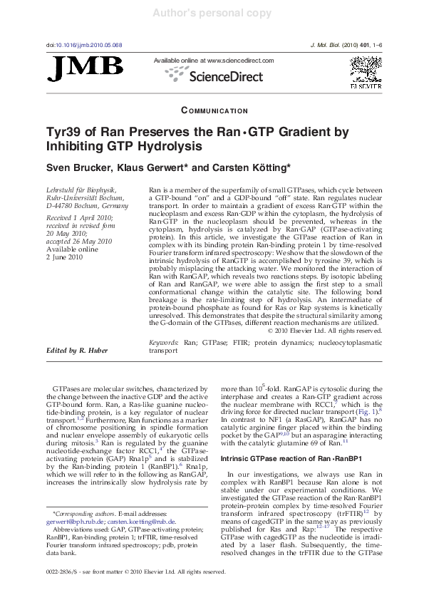 (PDF) Tyr39 of Ran Preserves the Ran·GTP Gradient by Inhibiting GTP ...