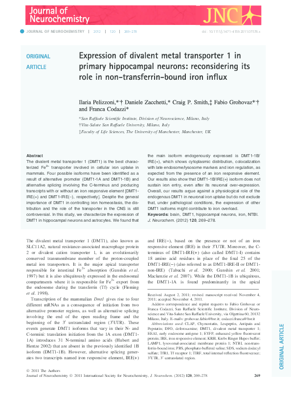 (PDF) Expression of divalent metal transporter 1 in primary hippocampal ...