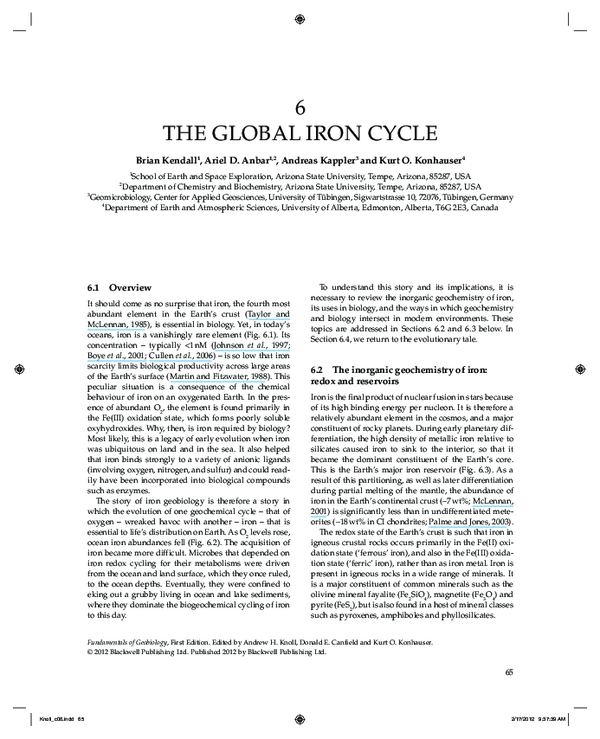 (PDF) The Global Iron Cycle