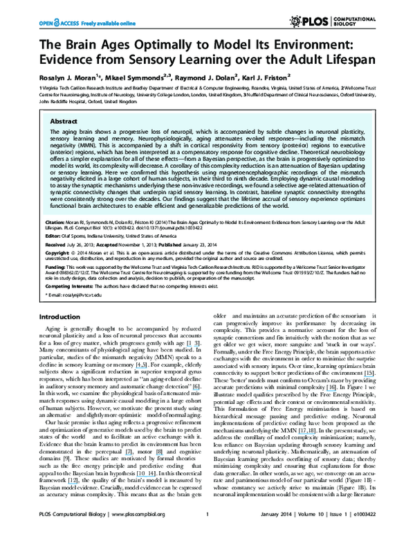 (PDF) The Brain Ages Optimally to Model Its Environment: Evidence from ...