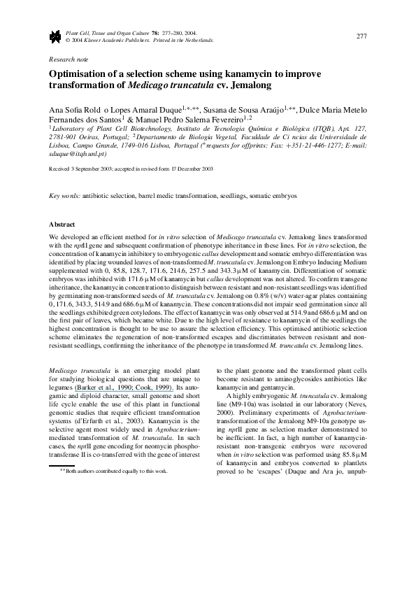 (PDF) Optimisation of a Selection Scheme using Kanamycin to Improve ...
