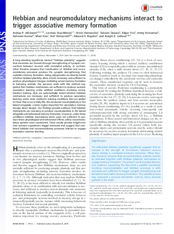 (PDF) Hebbian and neuromodulatory mechanisms interact to trigger associative memory formation