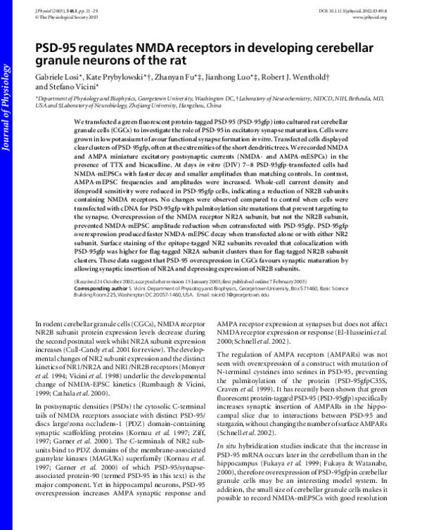 (PDF) PSD-95 regulates NMDA receptors in developing cerebellar granule ...