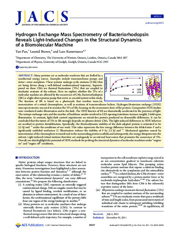 (PDF) Hydrogen Exchange Mass Spectrometry of Bacteriorhodopsin Reveals Light-Induced Changes in ...
