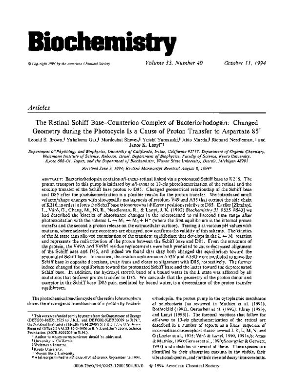 (PDF) The Retinal Schiff Base-Counterion Complex of Bacteriorhodopsin ...
