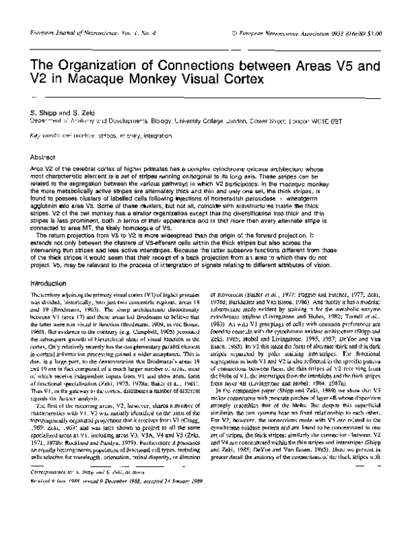 (PDF) The Organization of Connections between Areas V5 and V2 in Macaque Monkey Visual Cortex