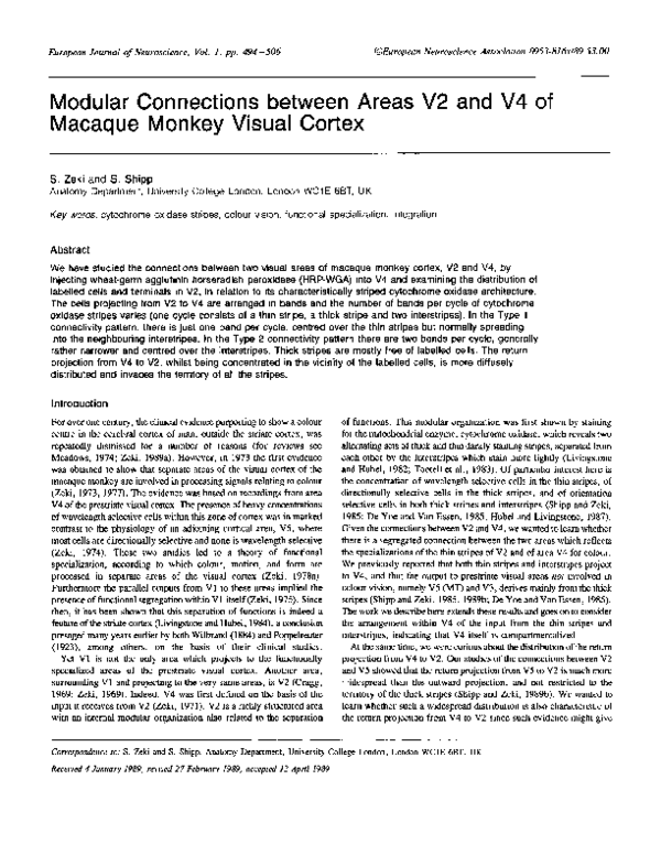 (PDF) Modular Connections between Areas V2 and V4 of Macaque Monkey Visual Cortex