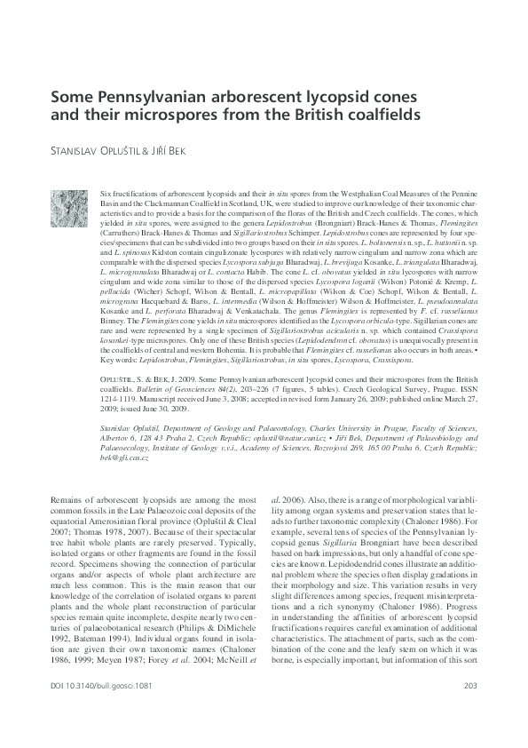 (PDF) Some Pennsylvanian arborescent lycopsid cones and their ...