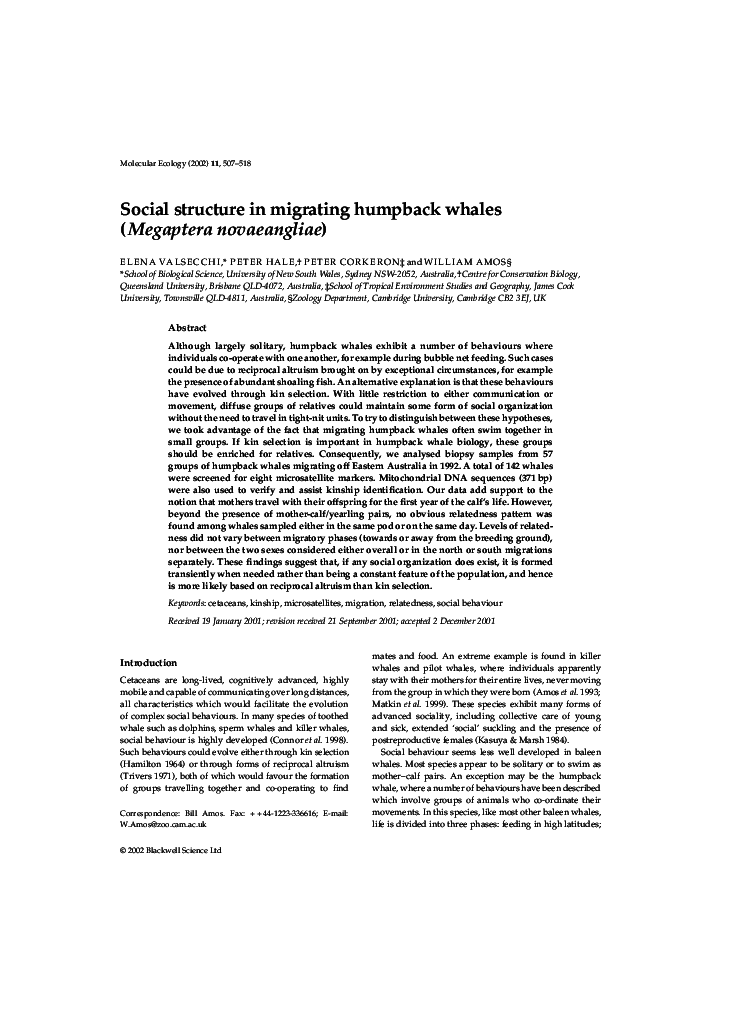 (PDF) Social structure in migrating humpback whales (Megaptera ...