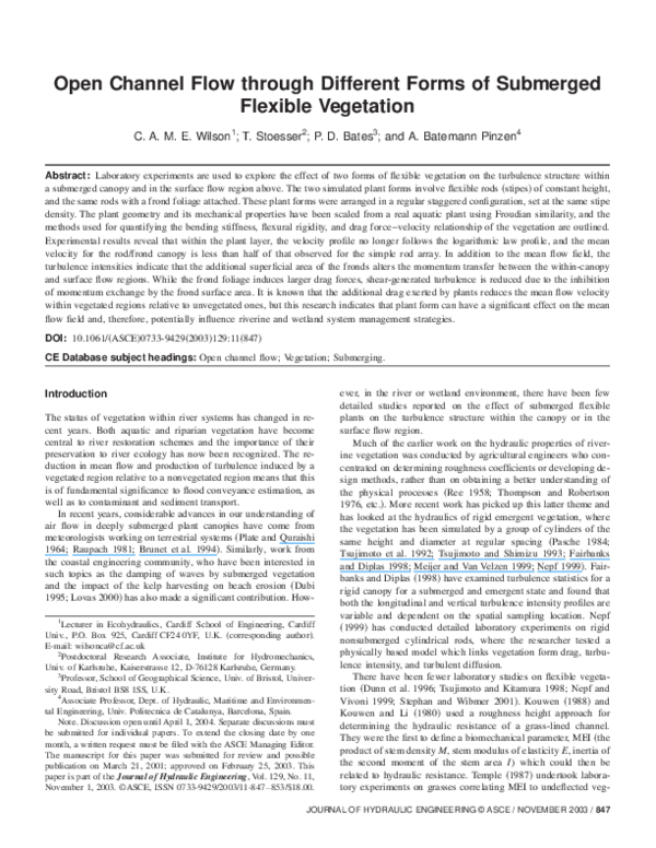 (PDF) Open Channel Flow through Different Forms of Submerged Flexible Vegetation