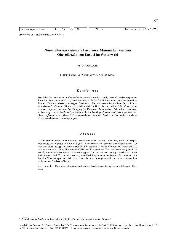 (PDF) Potamotherium valletoni (Carnivora, Mammalia) aus dem ...