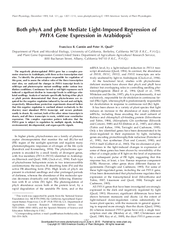 (PDF) Both phyA and phyB Mediate Light-Imposed Repression of PHYA Gene ...