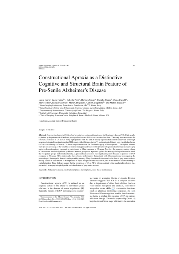 (PDF) Constructional apraxia as a distinctive cognitive and structural ...