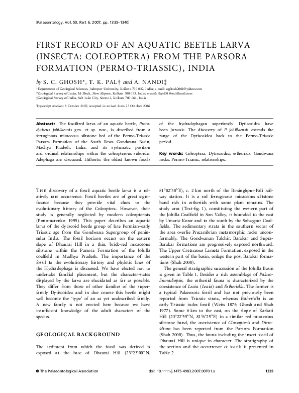 (PDF) FIRST RECORD OF AN AQUATIC BEETLE LARVA (INSECTA: COLEOPTERA ...