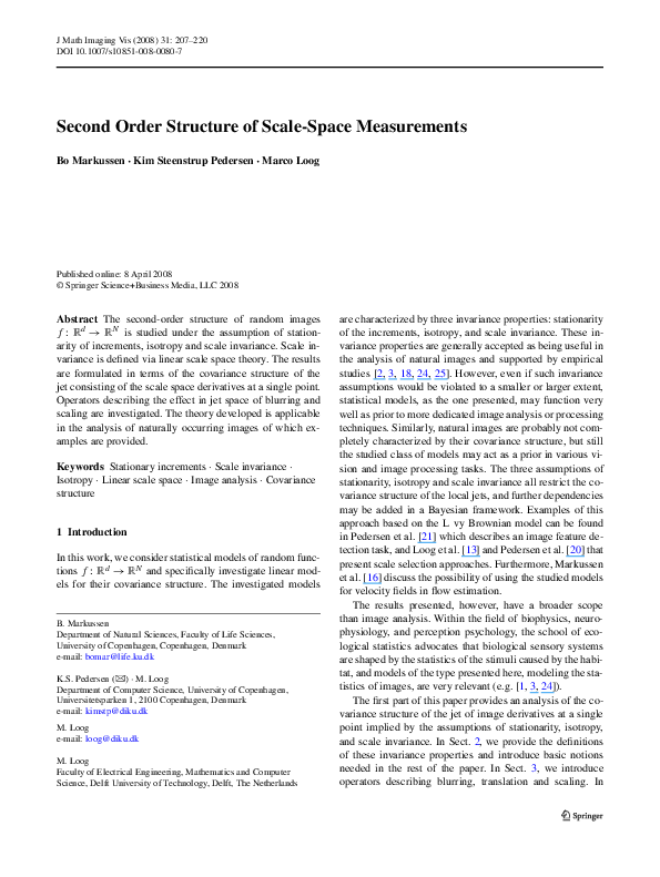 (PDF) Second Order Structure of Scale-Space Measurements