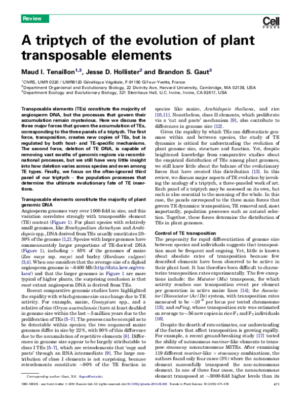 (PDF) A triptych of the evolution of plant transposable elements