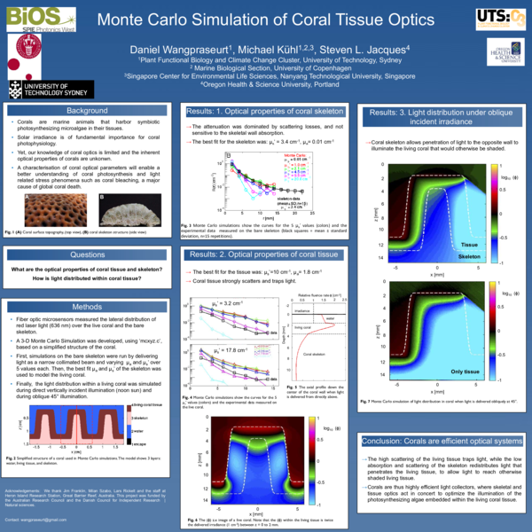 (PDF) Monte Carlo Simulation of Coral Tissue Optics