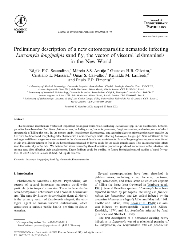 (PDF) Preliminary description of a new entomoparasitic nematode ...