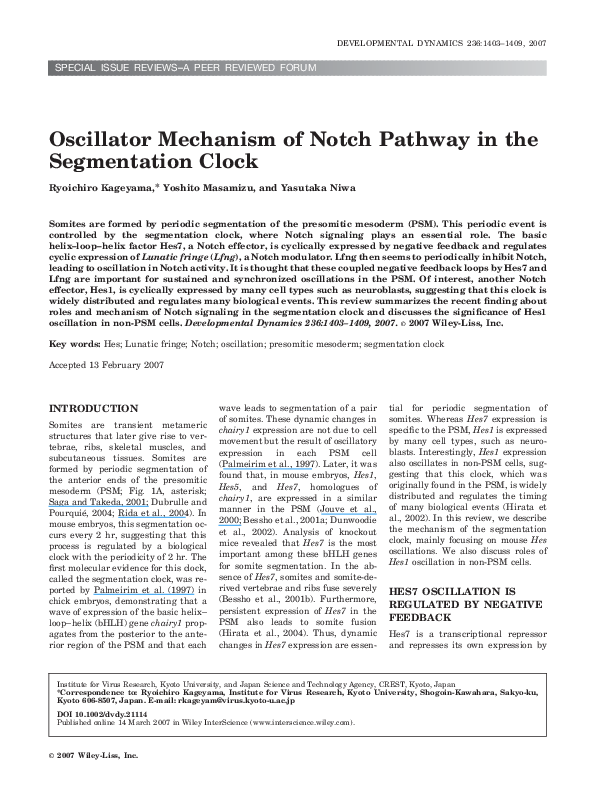 (PDF) Oscillator mechanism of notch pathway in the segmentation clock