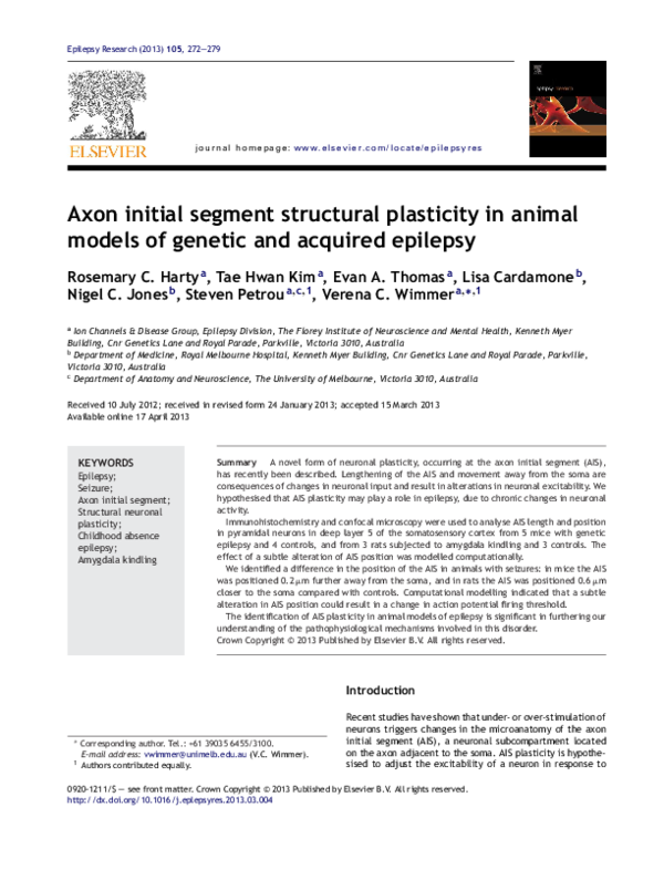 (PDF) Axon initial segment structural plasticity in animal models of genetic and acquired epilepsy
