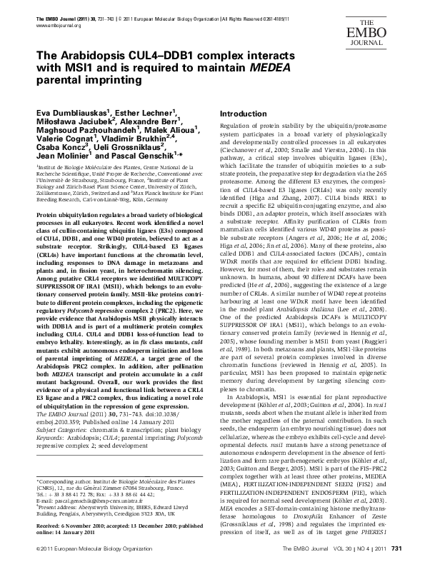 (PDF) The Arabidopsis CUL4-DDB1 complex interacts with MSI1 and is ...