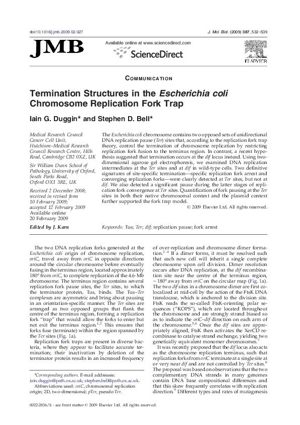 (PDF) Termination Structures in the Escherichia coli Chromosome ...