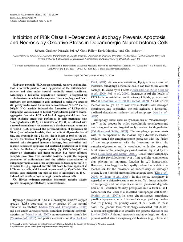 (PDF) Inhibition of PI3k Class III-Dependent Autophagy Prevents ...