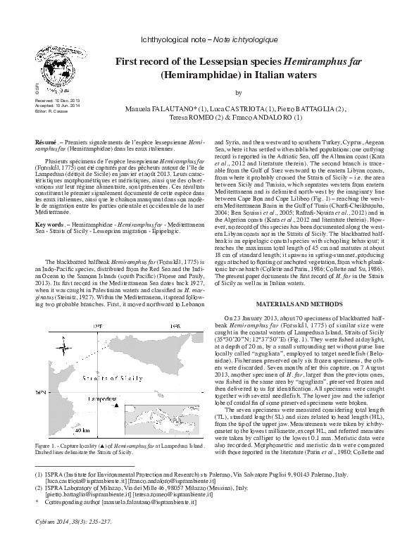 (PDF) First record of the Lessepsian species Hemiramphus far ...