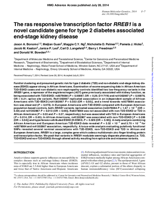 (PDF) The ras responsive transcription factor RREB1 is a novel ...