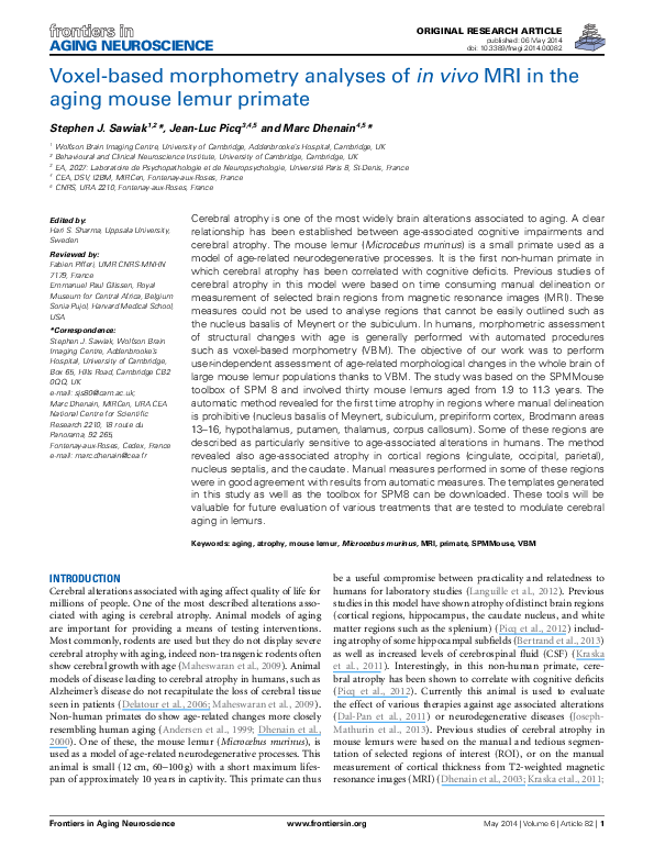 (PDF) Voxel-based morphometry analyses of in vivo MRI in the aging mouse lemur primate