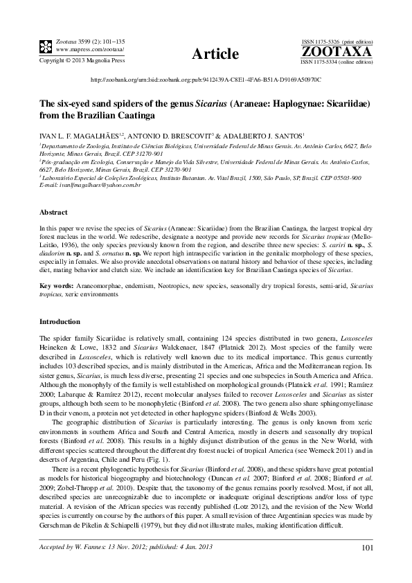 (PDF) The six-eyed sand spiders of the genus Sicarius (Araneae ...