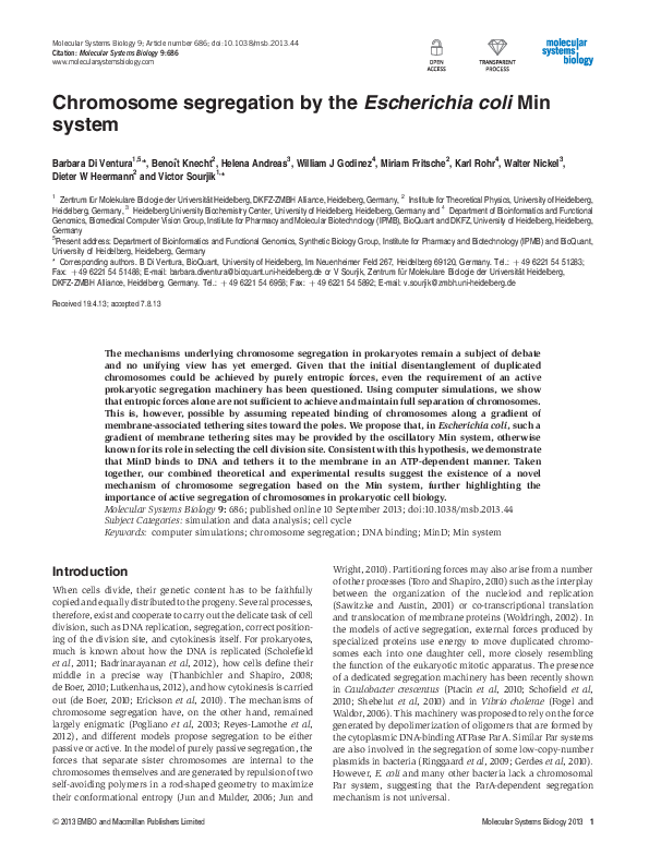 (PDF) Chromosome segregation by the Escherichia coli Min system