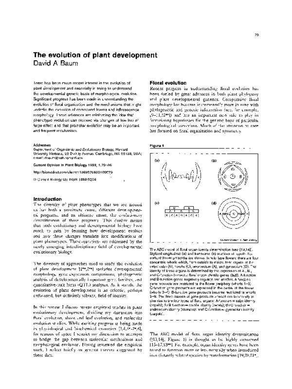 (PDF) The evolution of plant development