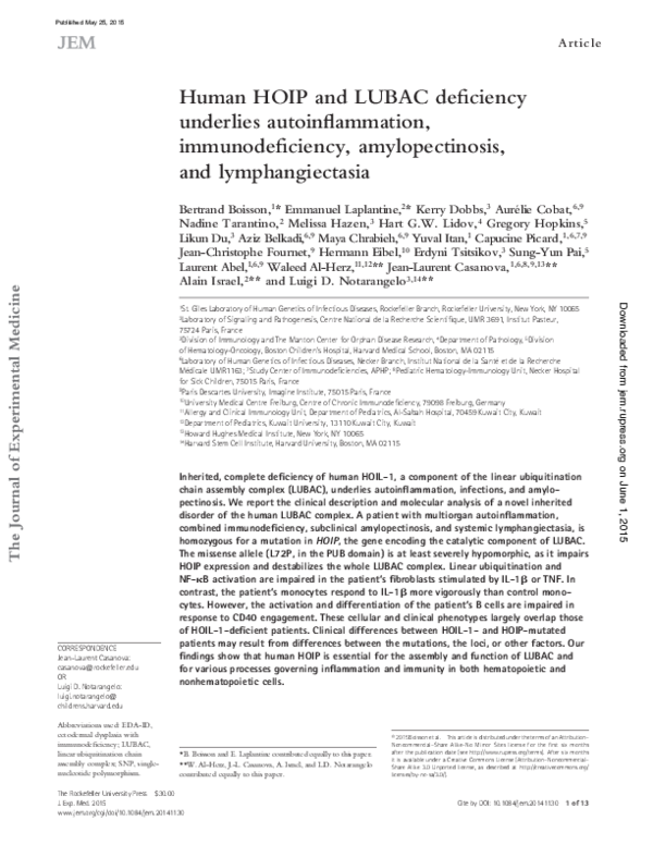(PDF) Human HOIP and LUBAC deficiency underlies autoinflammation ...