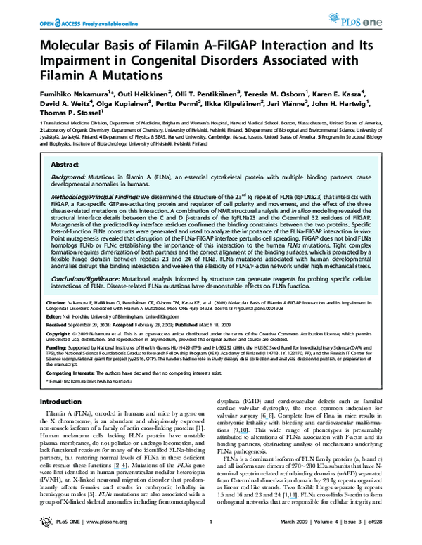 (PDF) Molecular Basis of Filamin A-FilGAP Interaction and Its ...