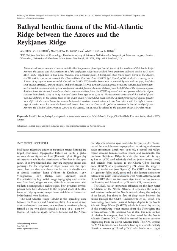 (PDF) Bathyal Benthic Fauna of the Mid-Atlantic Ridge Between the ...