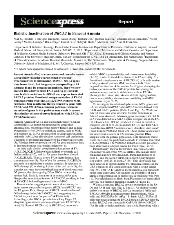 (PDF) Biallelic Inactivation of BRCA2 in Fanconi Anemia
