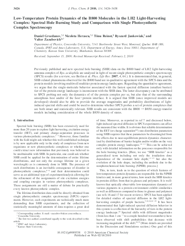 (PDF) Low-Temperature Protein Dynamics of the B800 Molecules in the LH2 ...