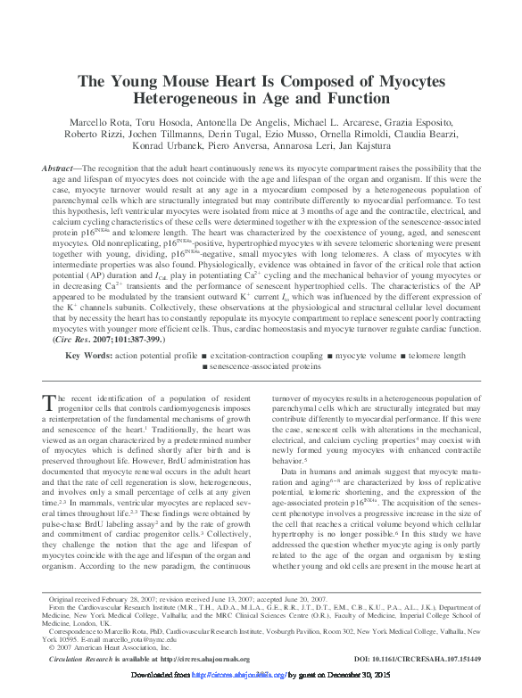 (PDF) The Young Mouse Heart Is Composed of Myocytes Heterogeneous in ...