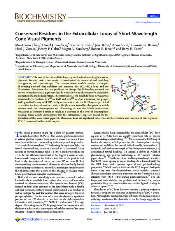 (PDF) Conserved Residues in the Extracellular Loops of Short-Wavelength ...