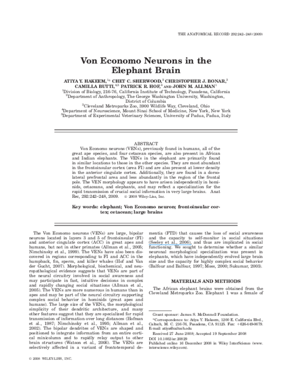(PDF) Von Economo Neurons in the Elephant Brain