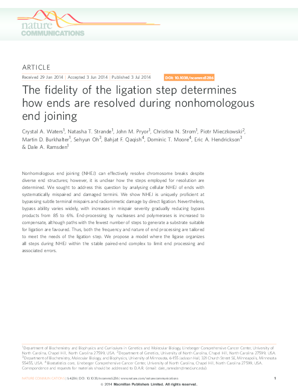 (PDF) The fidelity of the ligation step determines how ends are ...