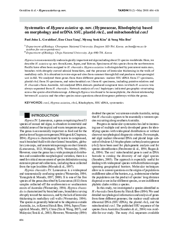 (PDF) Systematics of Hypnea asiatica sp. nov. (Hypneaceae, Rhodophyta ...