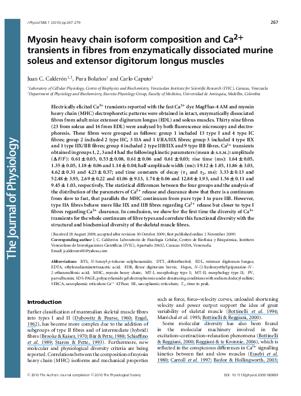 (PDF) Functional Identification Of Fiber Types In Enzymatically ...