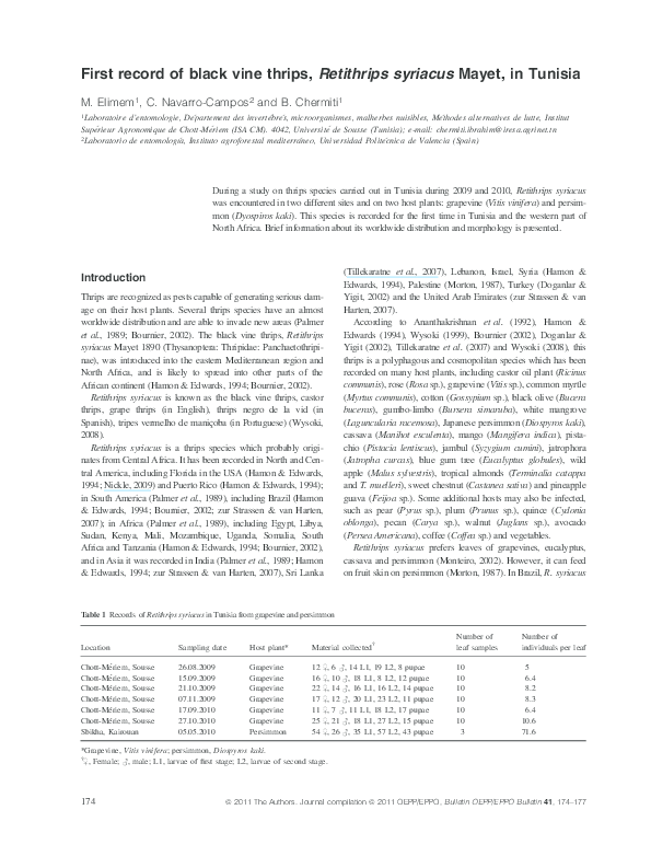 (PDF) First record of black vine thrips, Retithrips syriacus Mayet, in ...