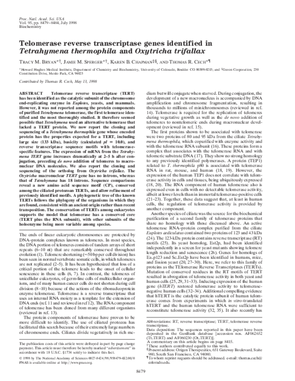 (PDF) Telomerase reverse transcriptase genes identified in Tetrahymena thermophila and Oxytricha ...