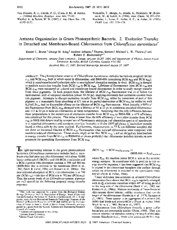 (PDF) Antenna organization in green photosynthetic bacteria. 1 ...