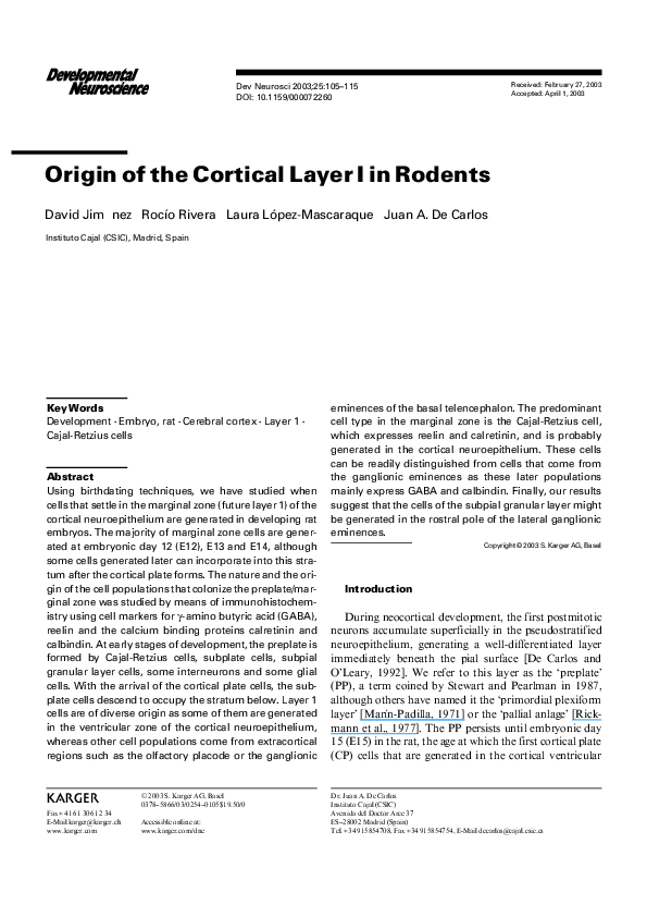 (PDF) Origin of the Cortical Layer I in Rodents