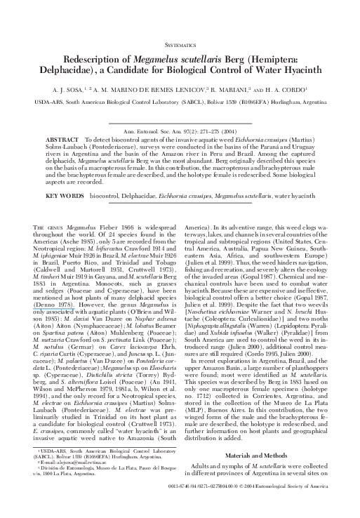 (PDF) Redescription of Megamelus scutellaris Berg (Hemiptera ...