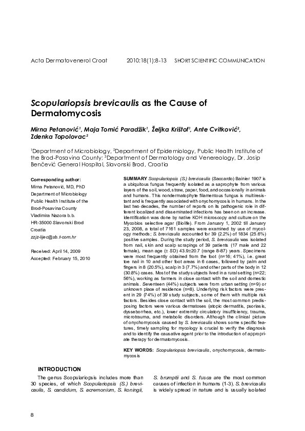(PDF) Scopulariopsis brevicaulis as the cause of dermatomycosis
